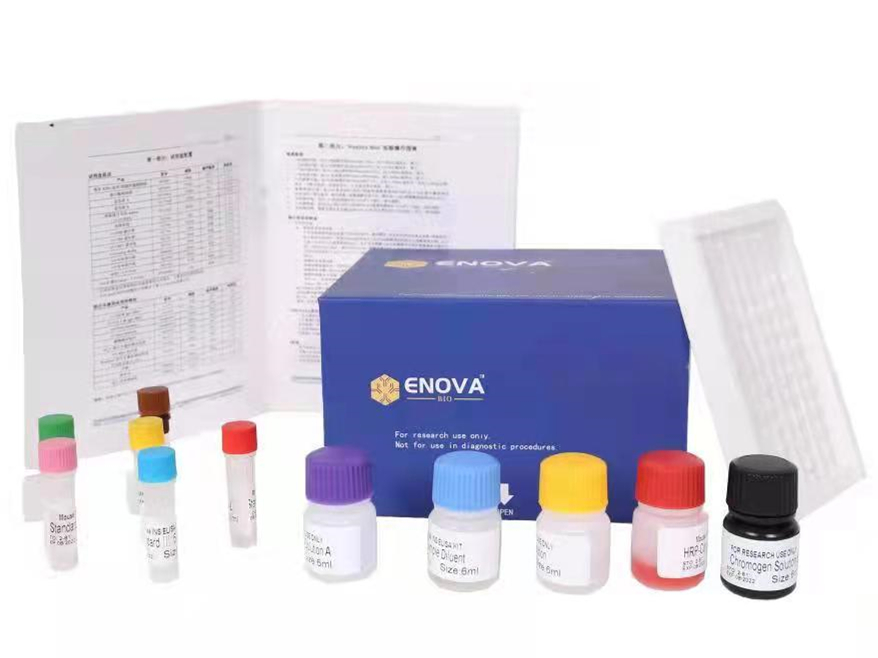 伊诺瓦（武汉）科技有限公司